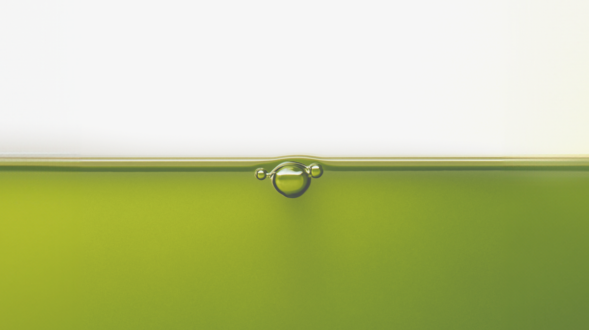 Cocoa Finish – Circadian